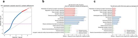 Identifying Associations Of De Novo Noncoding Variants With Autism