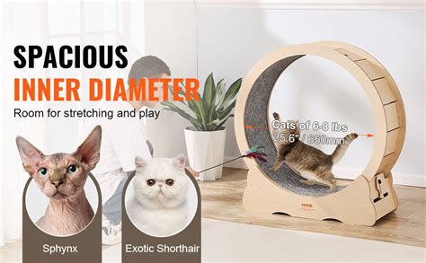 Cat Exercise Wheel Large Cat Treadmill Wheel For Indoor Cats 29 5 Inch Vevor Us