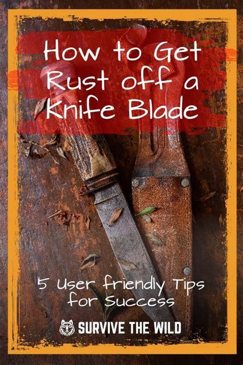 How To Get Rust Off A Knife Blade User Friendly Tips For Success How To Clean Rust How To