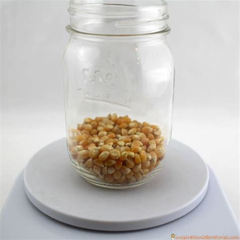 Does Popped Popcorn Weigh The Same As Unpopped Kernels Conduct This Popcorn Science Experiment