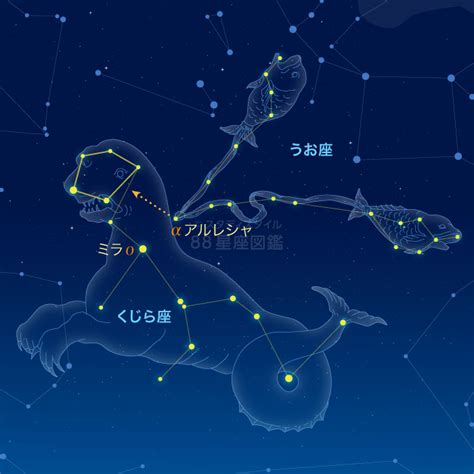 くじら座やさしい88星座図鑑
