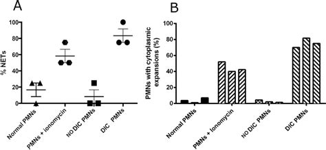 Quantification Of Nets And Cytological Modifications A Nets