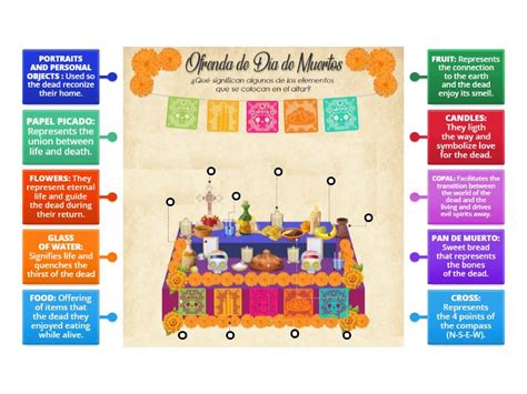Elements Of The Ofrenda Labelled Diagram