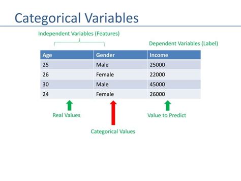 Machine Learning Dummy Variable Conversion Ppt