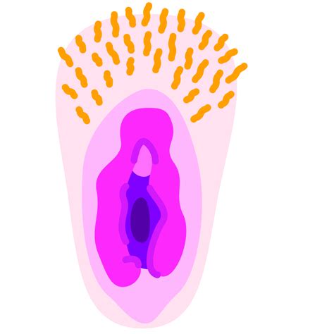 These Are The Very Best Vagina Emoji For Sexting The Verge