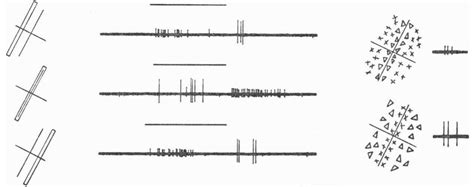 Pdf Receptive Fields Binocular Interaction And Functional Architecture In The Cats Visual Cortex