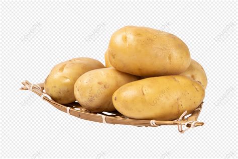 감자 Png 일러스트 무료 다운로드 Lovepik