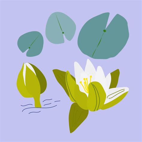 Page 2 Lily Pad Vector Art Icons And Graphics For Free Download