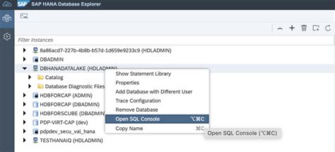 Load Data Into Tables In Hana Iq Store From Files Sap Community