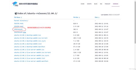 Ubuntu 安装“安装程序向硬盘复制文件时遇到错误 Errno 5 Inputoutput Error”错误解决过程记录 Csdn博客