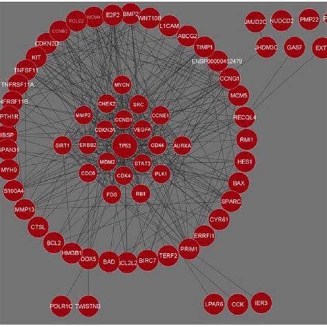 Clustering Analysis Of Osteosarcoma Gene Interaction Network Using Download Scientific Diagram