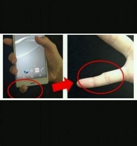 현대인의 신체변화 인스티즈 Instiz 이슈 카테고리