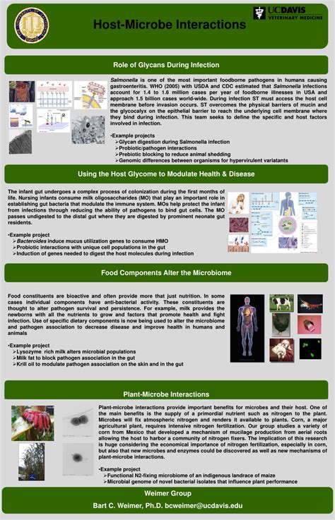 PDF Host Microbe Interactions
