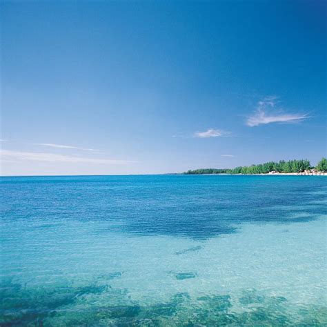 Seawater Density Properties Salinity And Fresh Water Udtech