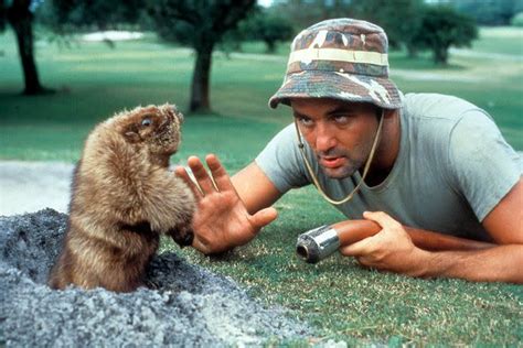 Gopher Cradles Golf Ball In Video Dubbed Real Life Caddyshack Gopher Cradles Golf Ball In Video Dubbed Real Life Caddyshack