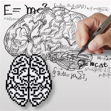 Mathsscience Formula And Brain Sign Stock Illustration Illustration
