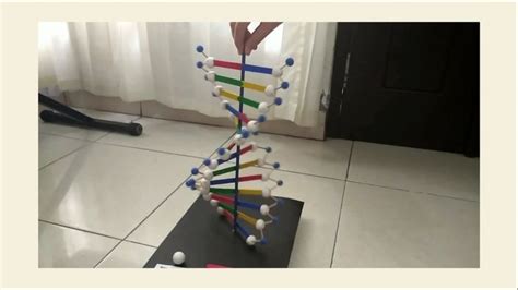 Membuat Model DNA Dna The Creator Model
