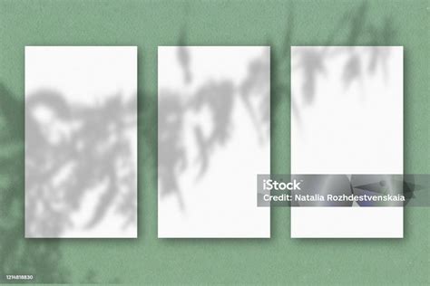 녹색 벽 배경에 흰색 질감 종이 의 3 수직 시트 식물 그림자의 오버레이와 모형 자연광이 들판 식물과 꽃의 꼭대기에서 그림자를 드리우다 0명에 대한 스톡 벡터 아트 및 기타