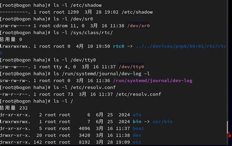 Linux文件系统管理 Csdn博客 Linux文件系统管理 Csdn博客