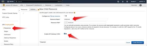 AWS API Gateway Lambda DynamoDB Configuration Biz Web Apps