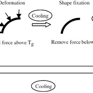 Schematic Working Principle Of Shape Memory Polymers Download Scientific Diagram