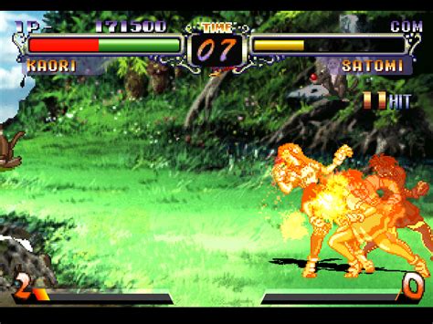 Advanced Variable Geo 2 Hardcore Gaming 101