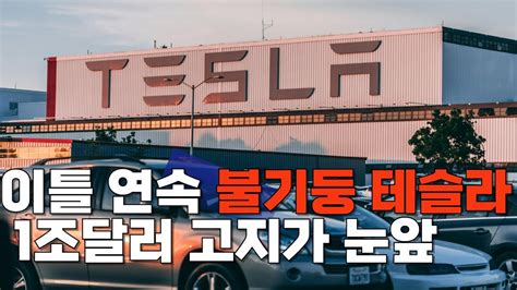 1조달러 눈앞에 둔 테슬라 트럼프 효과로 이틀연속 불기둥 Youtube