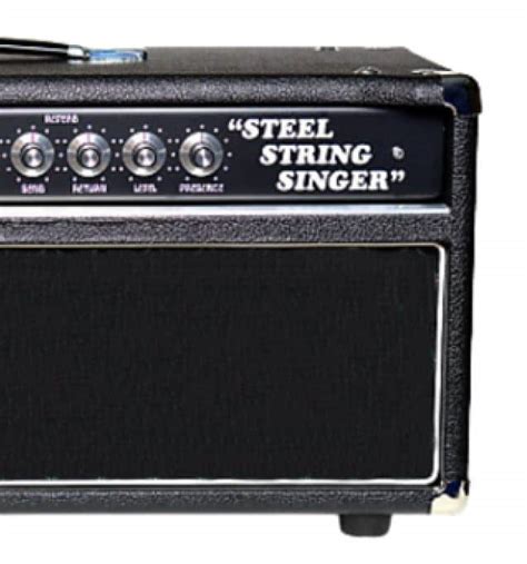 Stevie Ray Vaughans Dumble Steel String Singer Blackface Ground Guitar