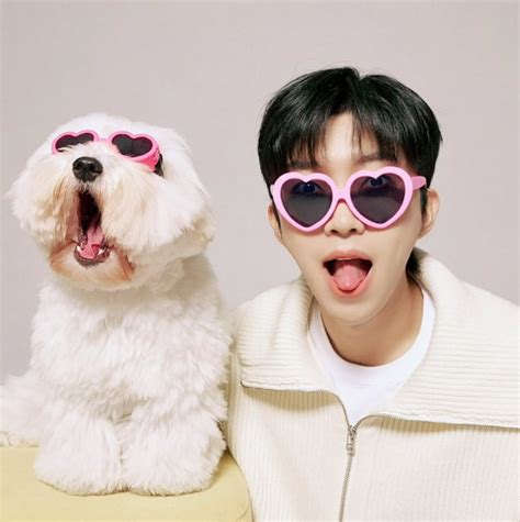 임영웅 정치적 무관심은 상관 없다진짜 문제는 불통 행보 Ten스타필드 텐아시아