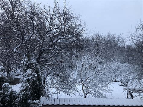 Ще има ли сняг до края на седмицата