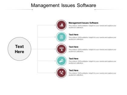 Software Issues PowerPoint Presentation And Slides PPT PowerPoint SlideTeam