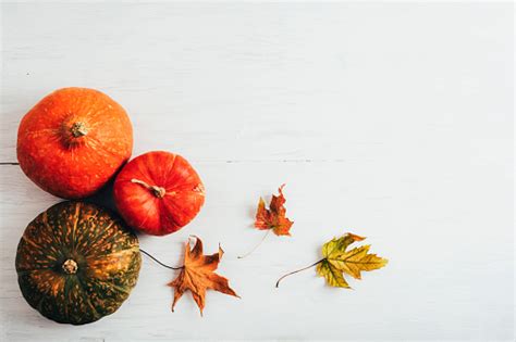 형형색색의 호박과 단풍이 하얀 나무 테이블에 놓여 있습니다 계절 장식 추수 감사절 할로윈 개념 평면도 플랫 레이아웃 복사 공간 10월에 대한 스톡 사진 및 기타 이미지