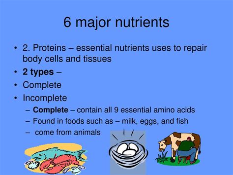 Ppt 6 Major Nutrients Powerpoint Presentation Free Download Id5331980