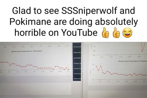 Glad To See Sssniperwolf And Pokimane Are Doing Absolutely Horrible On