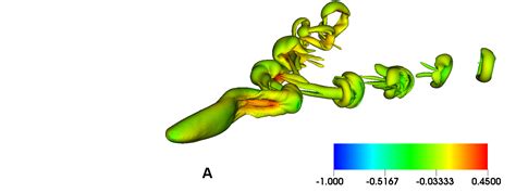 Eel Swimming Cfd Simulation Cfd Simulations Fetchcfd
