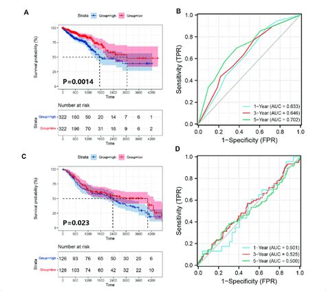 Establishment And Verification Of The Prognostic Model A A