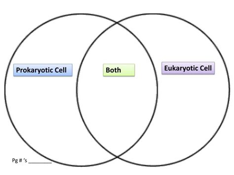 PPT Prokaryotic Cell PowerPoint Presentation Free Download ID