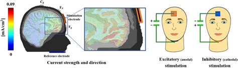 An Iterative Gain Function Algorithm Aiming At Maximal Vmpfc Targeted