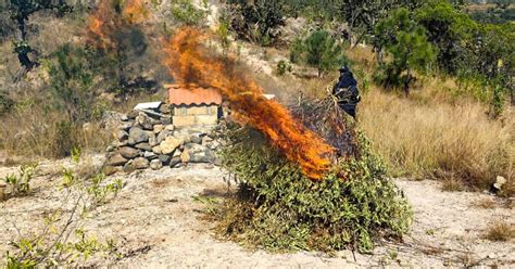 Desmantelan Bases De Halconeo De La Familia Michoacana En El Edomex