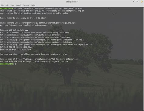 How To Install Postgresql 17 On Ubuntu 2404 Lts Noble Numbat