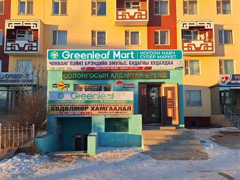 Ногоон навч монголд Added A New Photo Ногоон навч монголд