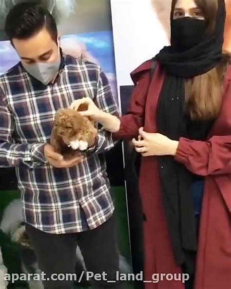 فروش توی پودل 09124984220