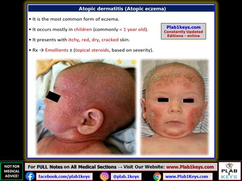 Plab 1 Keys √√ You Can Access All Notes And Summaries