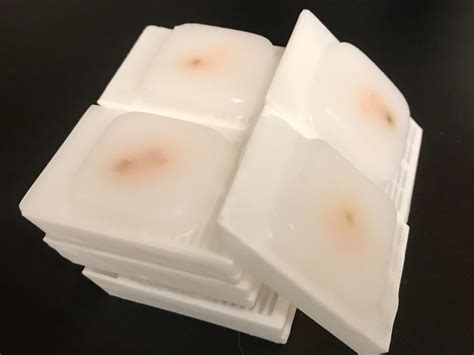 Paraffin Tissue Sections Skin Tissue Slides Vitrovivo Biotech