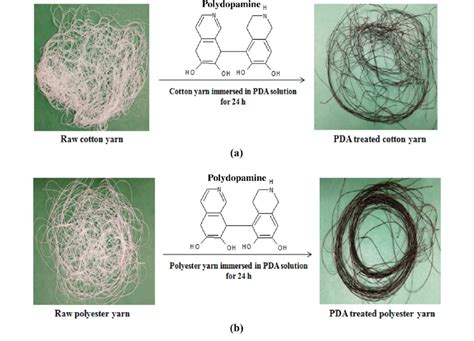 Polydopamine Modified A Cotton And B Polyester Yarns Download Scientific Diagram