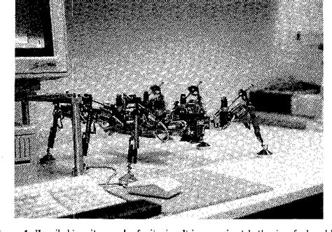 Figure 1 From Robust And Adaptive Locomotion Of An Autonomous Hexapod