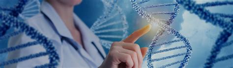 Liver Microsomes Milecell Bio