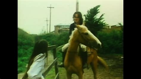 Sex Flight Usa 1974 Suzanne Fields Eporner