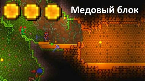 Медовый блок в Террария как сделать для чего нужен особенности