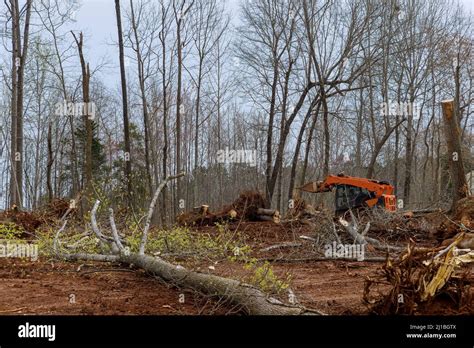 New Development Tractor Working The Clearing Land On Forest Property Clearing Big Tree Stock